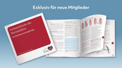 Pulmonalstenose: Die wichtigsten Fakten über den Herzklappenfehler ...